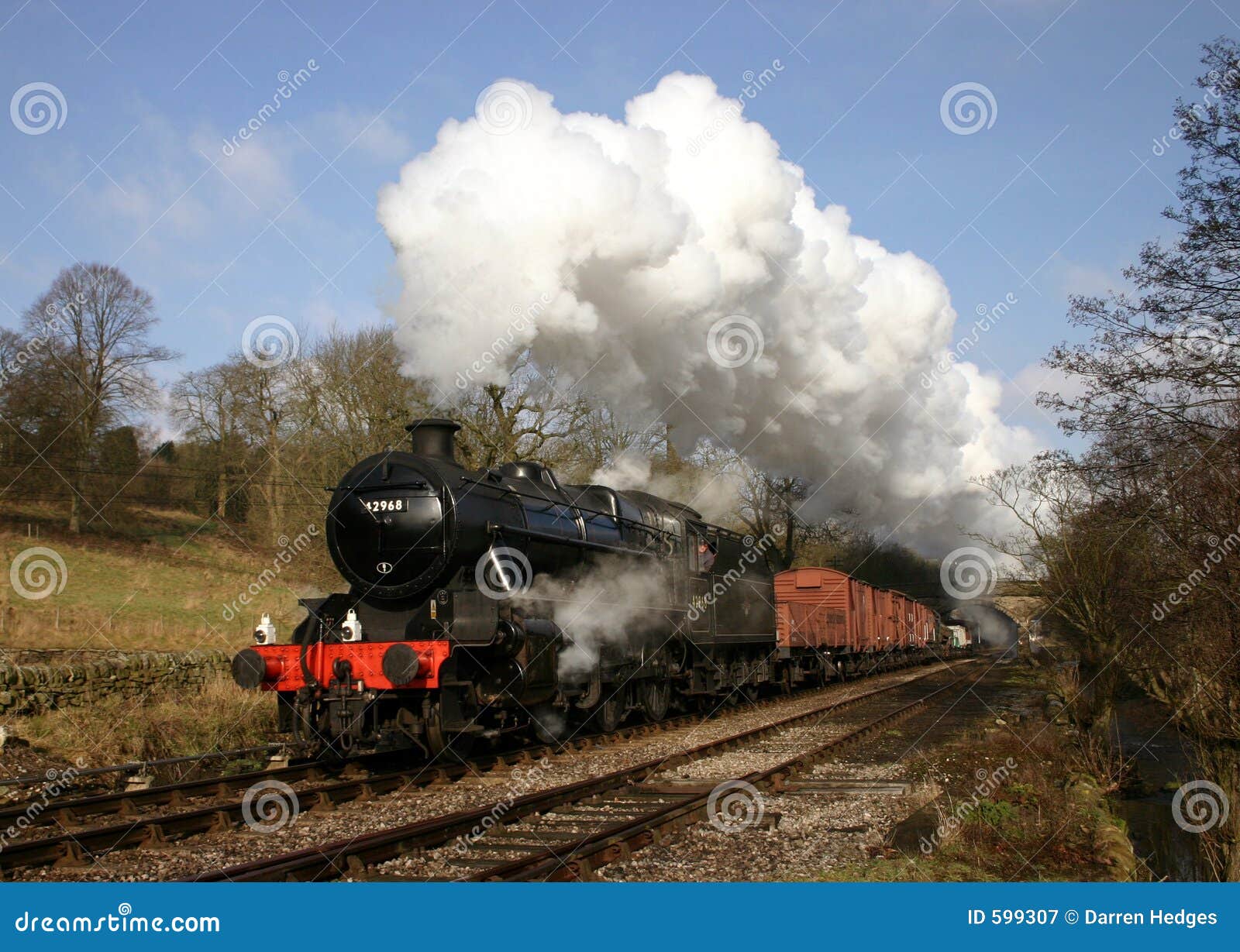 Steam Train in Bronte Country Stock Image - Image of engine, steamy: 599307