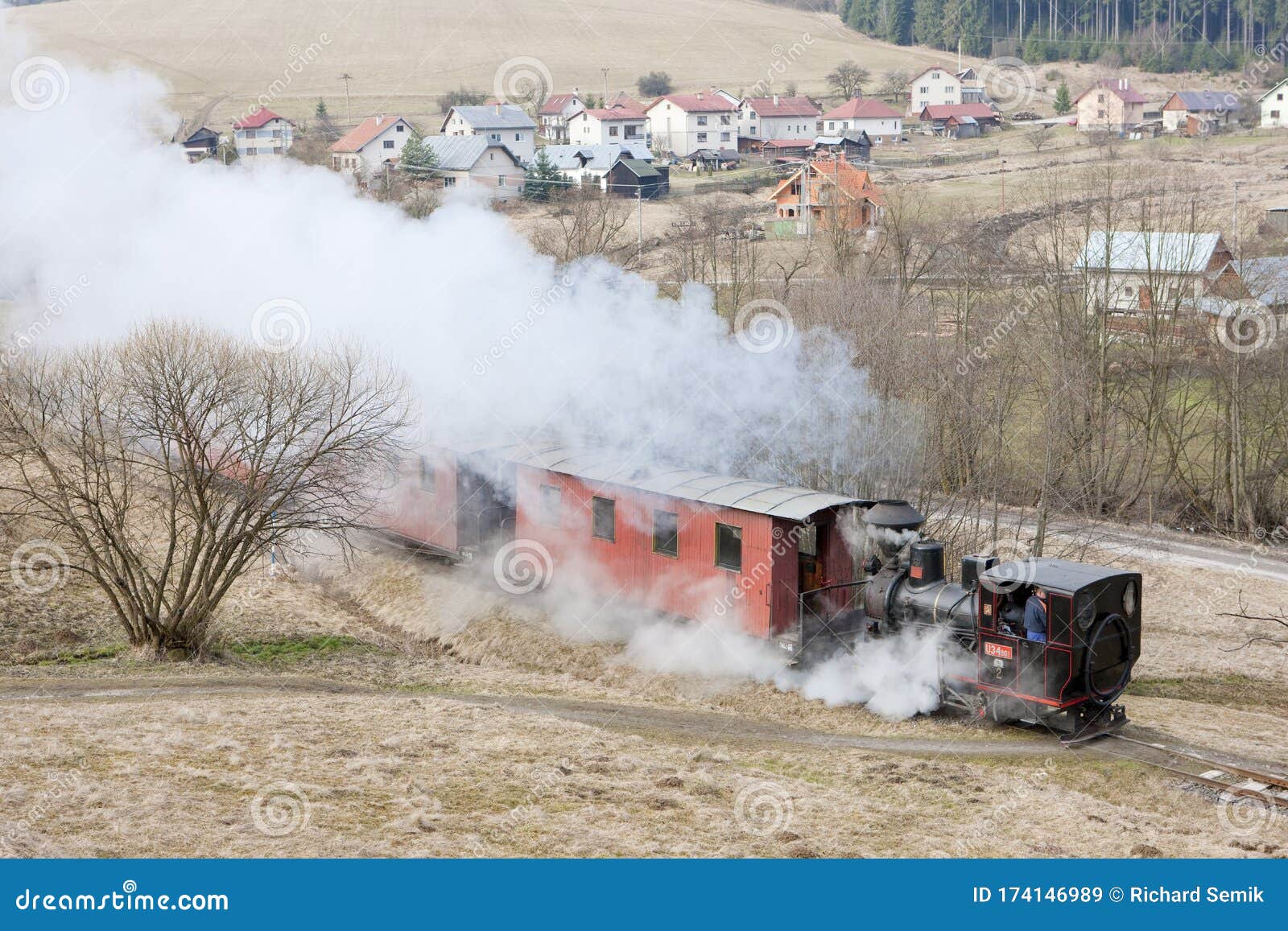 Steam Train, Ciernohronska Railway, Slovakia Stock Image - Image of ...