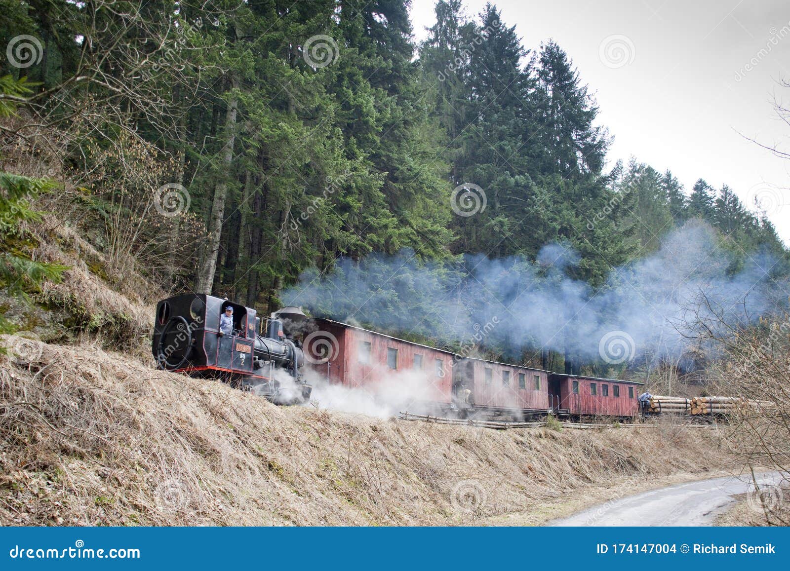 Steam Train, Ciernohronska Railway, Slovakia Stock Photo - Image of ...