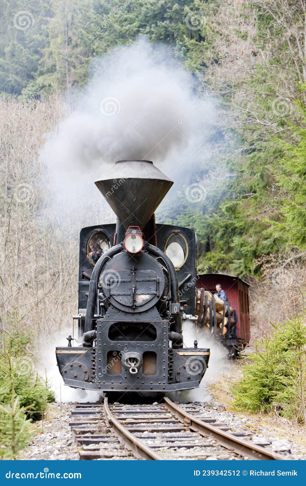 Steam Train, Ciernohronska Railway, Slovakia Stock Photo - Image of ...