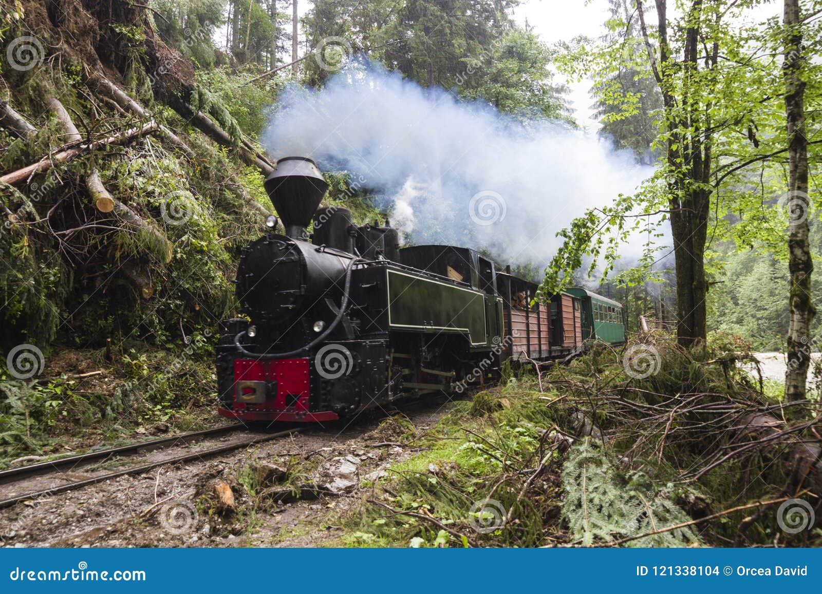 Steam Train in Woods stock photo. Image of classic, railway - 121338104