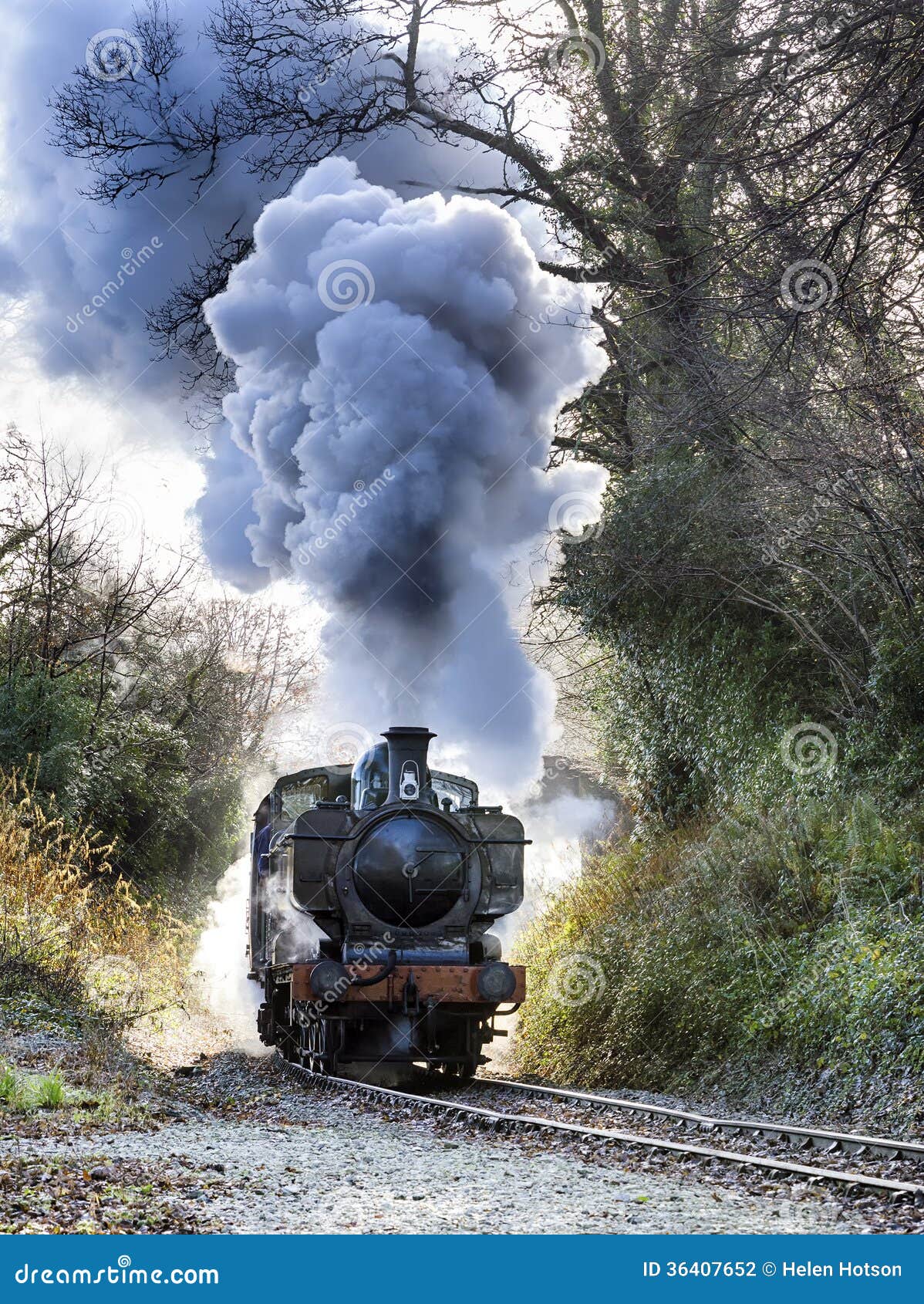 Steam Train stock photo. Image of green, railroad, steel - 36407652