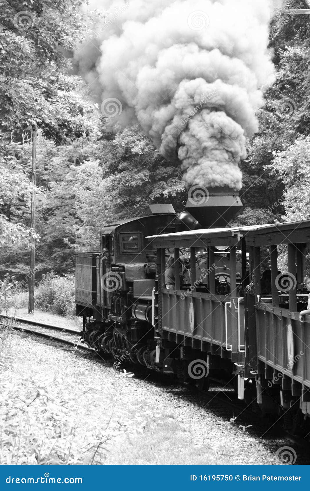 Steam train in snow stock photo. Image of railway, machine - 16195750