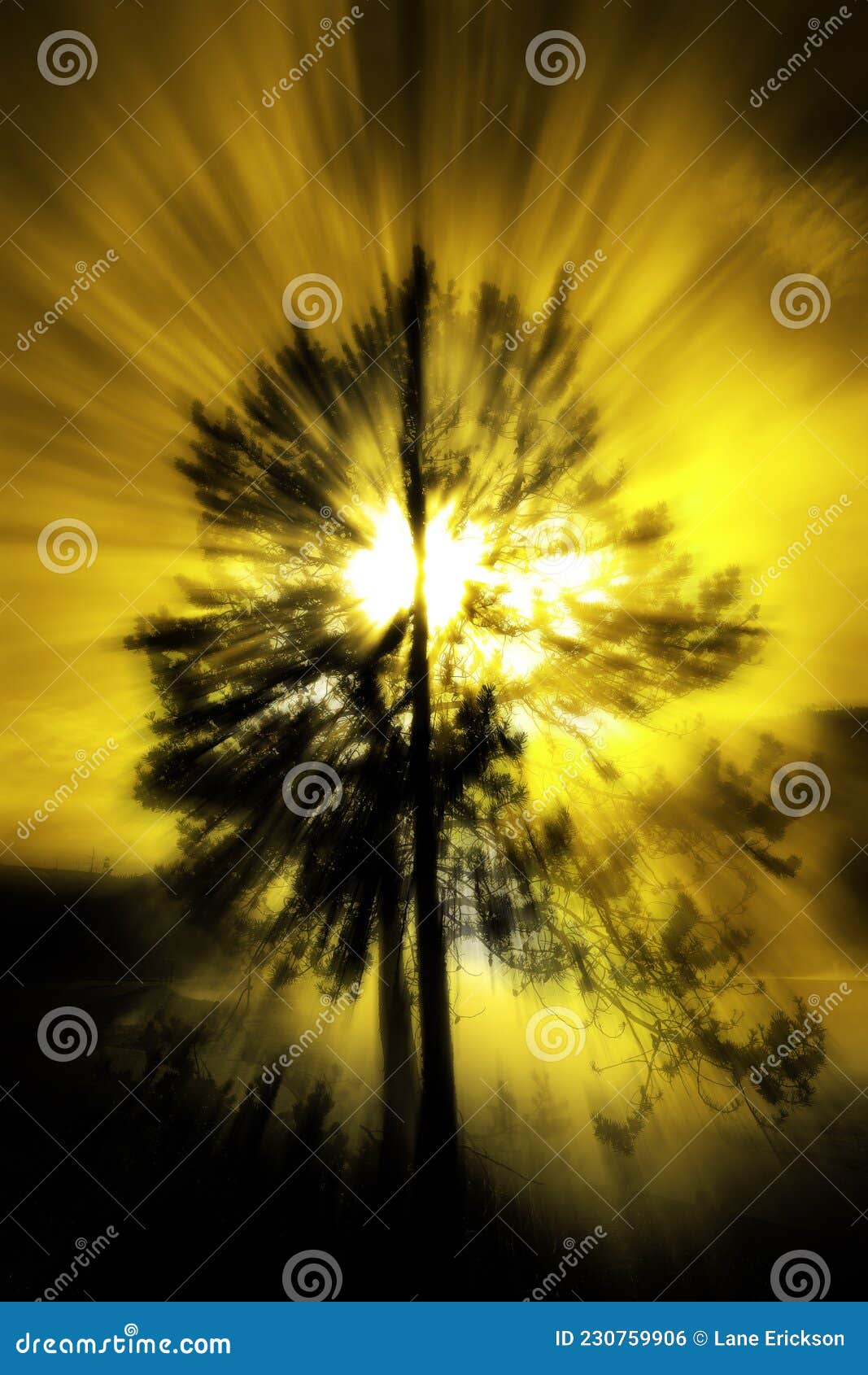 Steam and Tree with Sunlight Rays Blue Sky Stock Photo - Image of beam ...