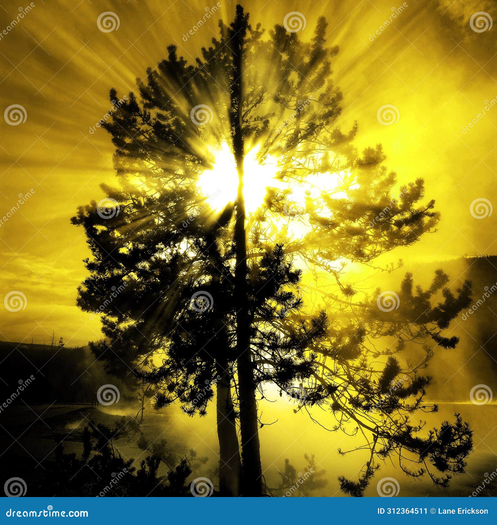 Steam and Tree with Sunlight Rays Blue Sky Stock Image - Image of ...