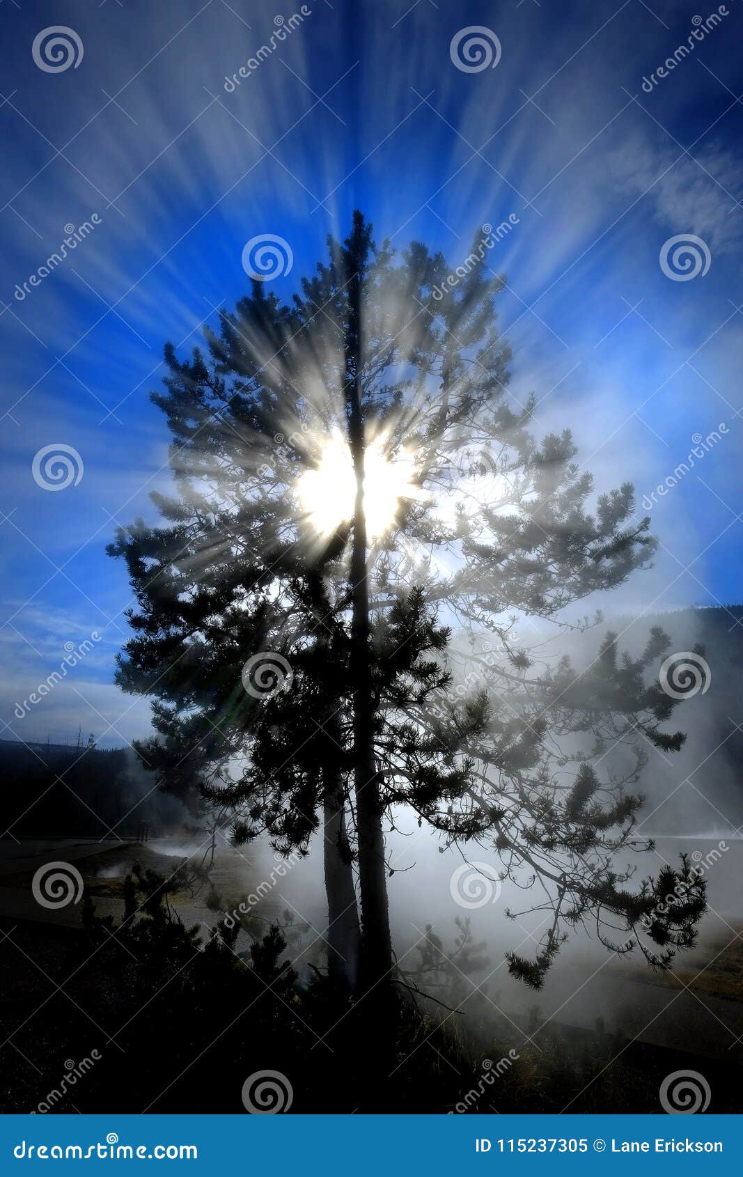 Steam and Tree with Sunlight Rays Blue Sky Stock Image - Image of ...