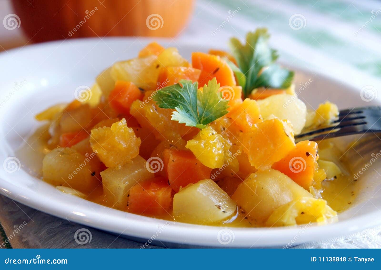 Steamed Autumn Vegetable Ragout Stock Photo - Image of food, fall: 11138848