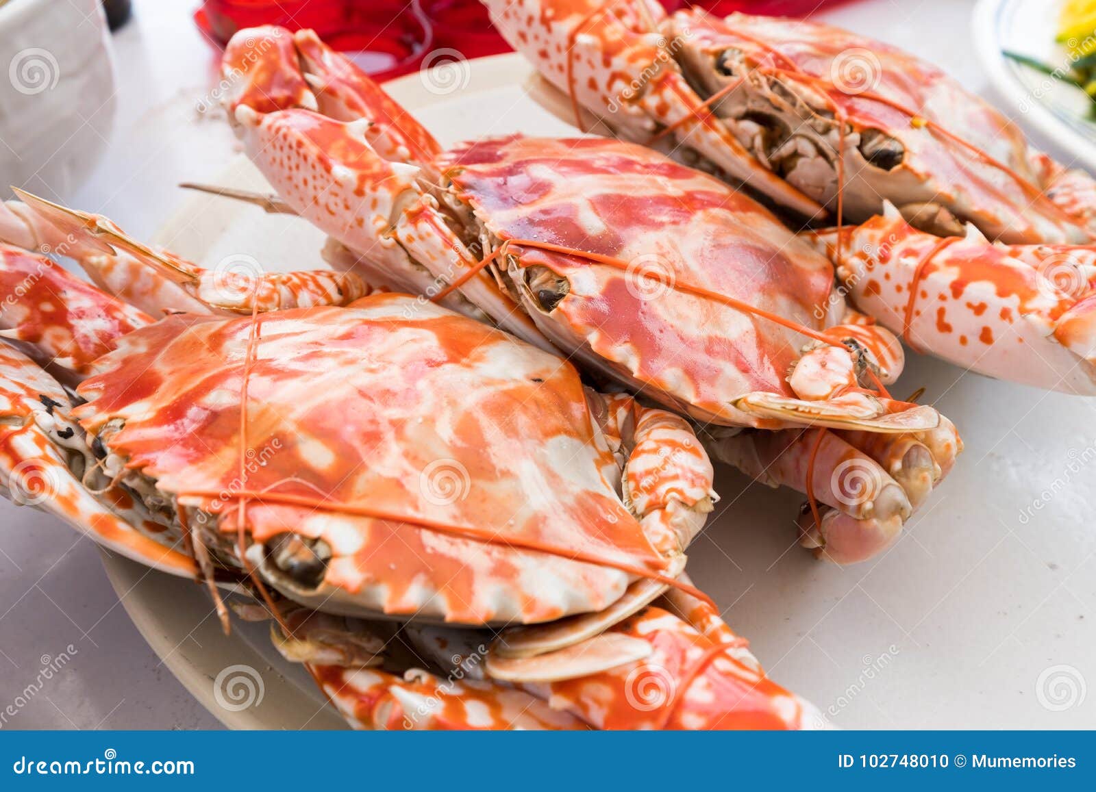 Steamed Blue Crabs in Plate Stock Photo - Image of cooking, meat: 102748010