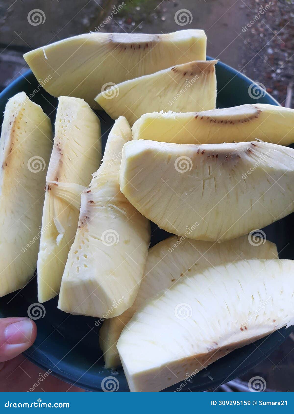 Steamed Breadfruit for Breakfast in Indonesia Stock Image - Image of ...