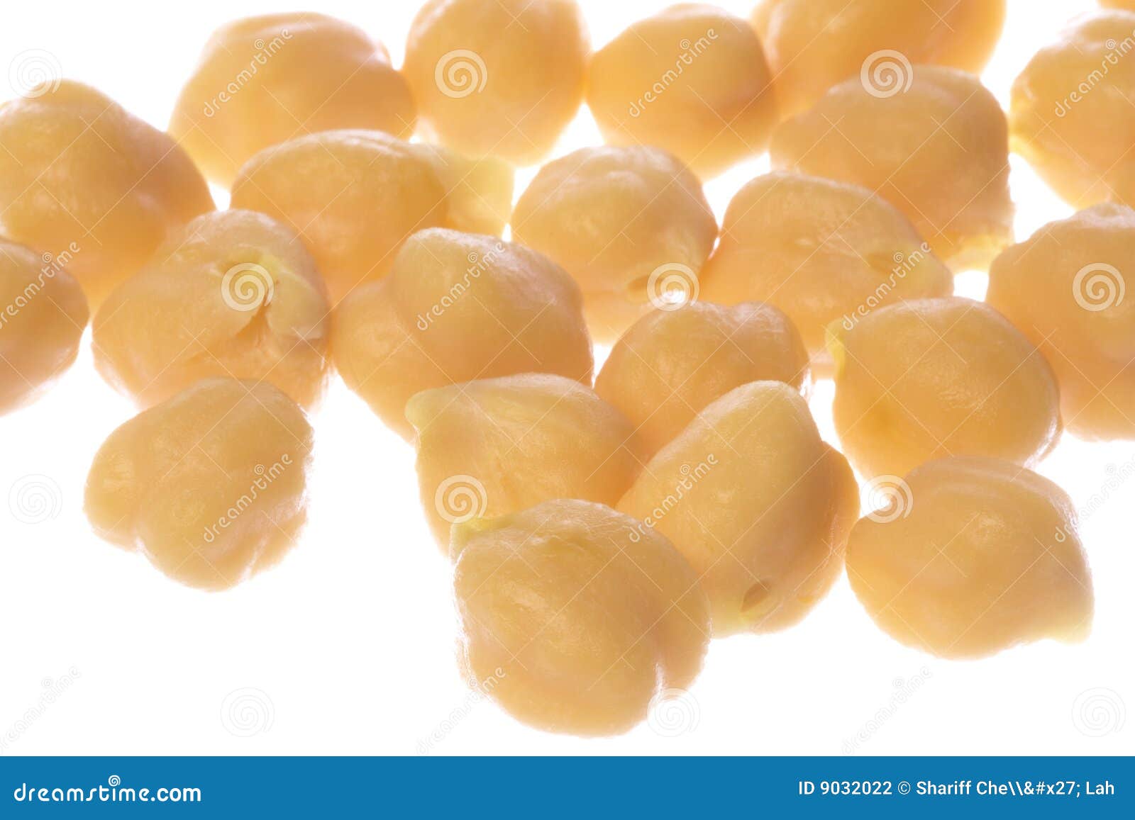 Steamed Chick Peas Isolated Stock Photo - Image of vegetable, meal: 9032022