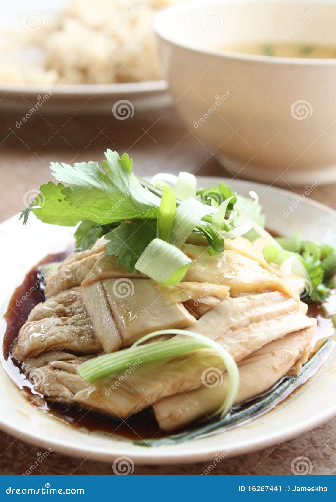 Steamed Chicken stock image. Image of white, sauce, chinese - 16267441