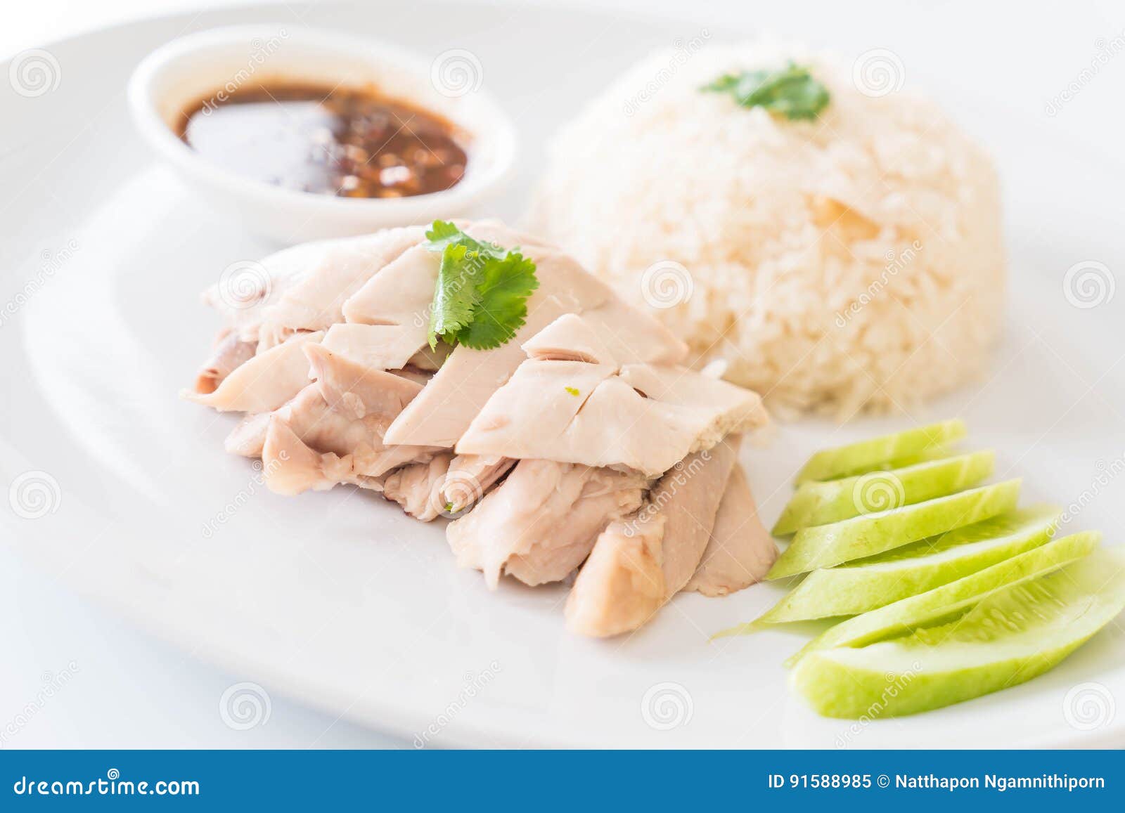 Steamed chicken with rice stock image. Image of rice - 91588985