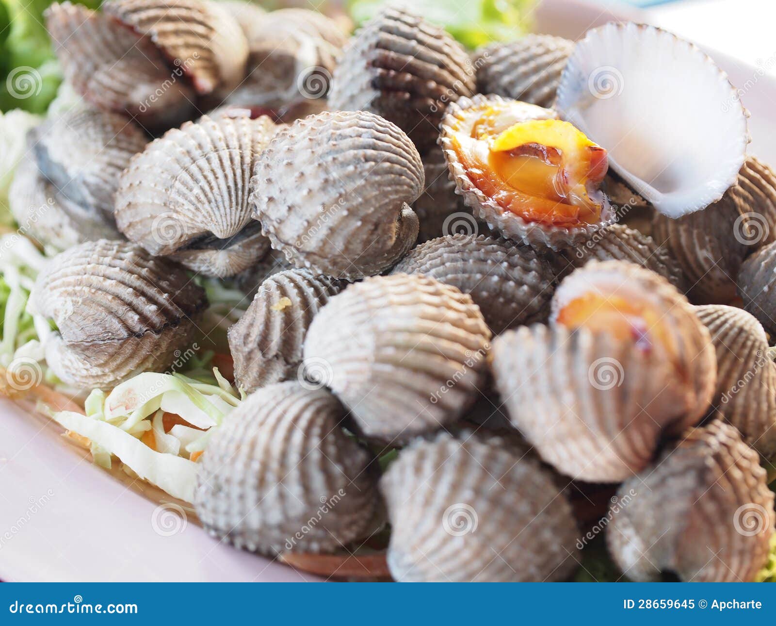 Steamed cockles stock image. Image of anadara, cockle - 28659645