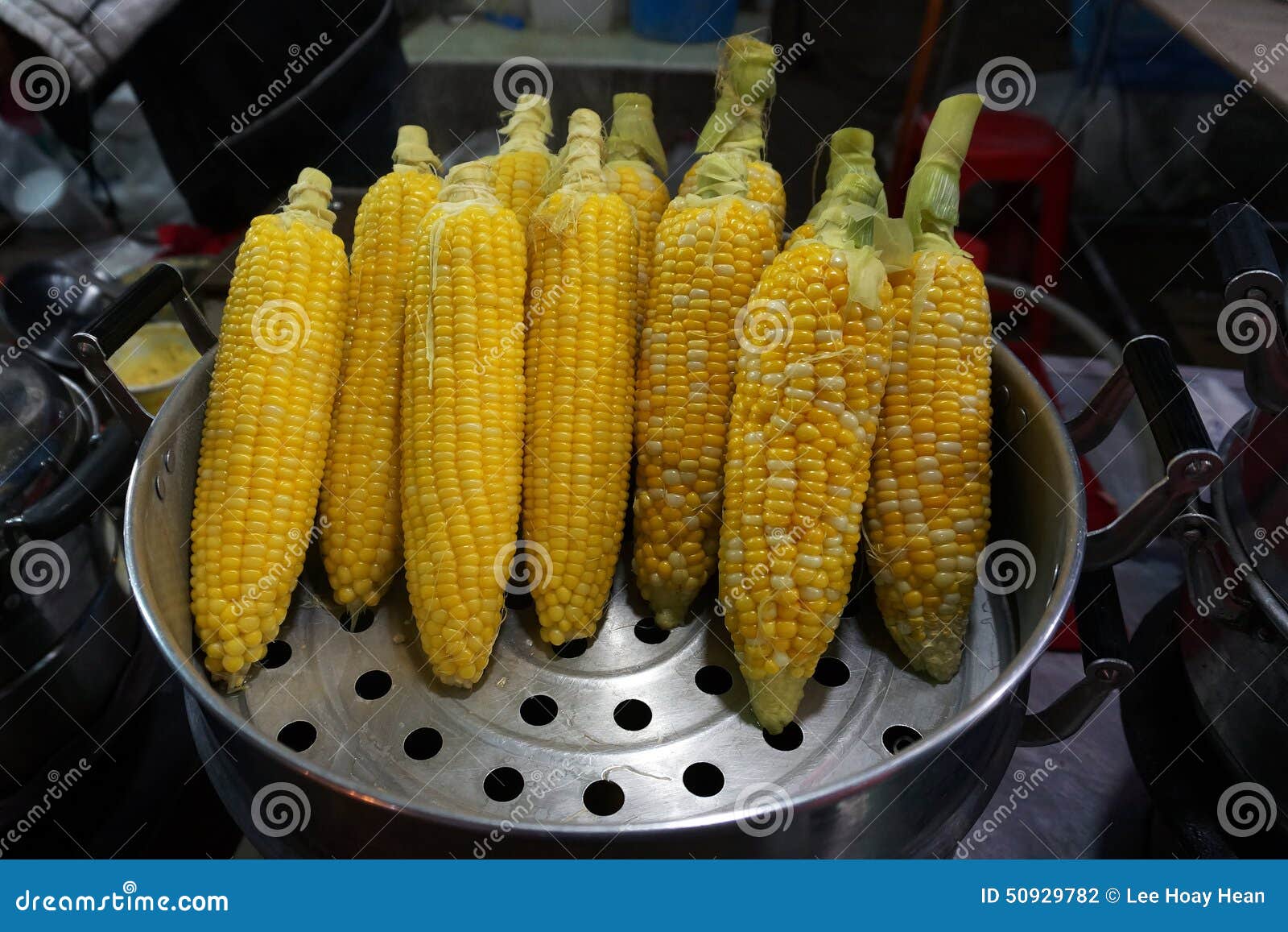 Steamed corn stock photo. Image of plant, food, white - 50929782