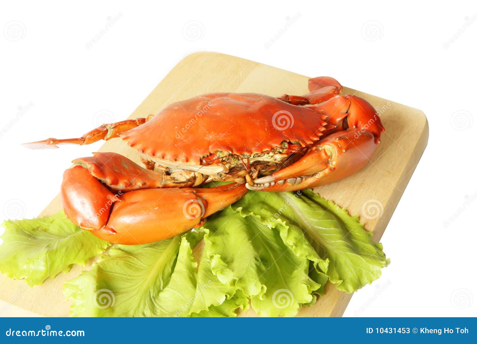 Steamed Crab stock image. Image of shell, vegetable, boiled - 10431453