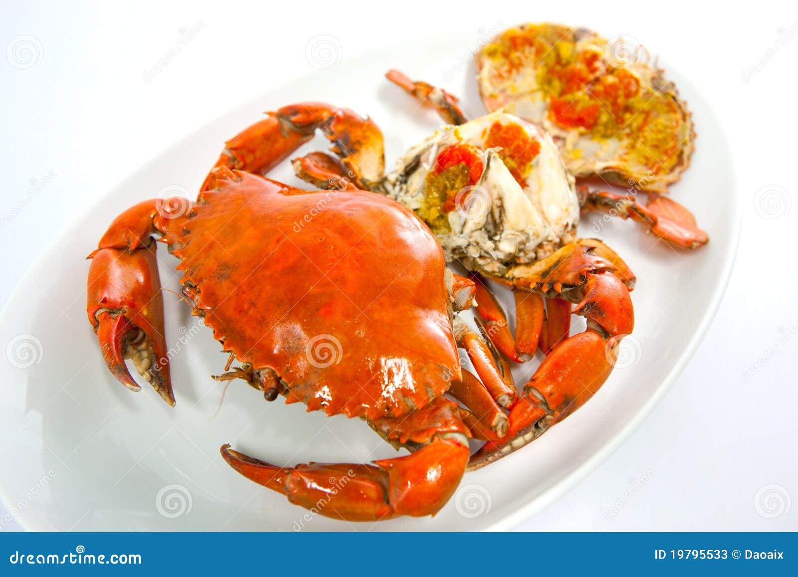 Steamed Crab stock image. Image of seafoods, seafood - 19795533