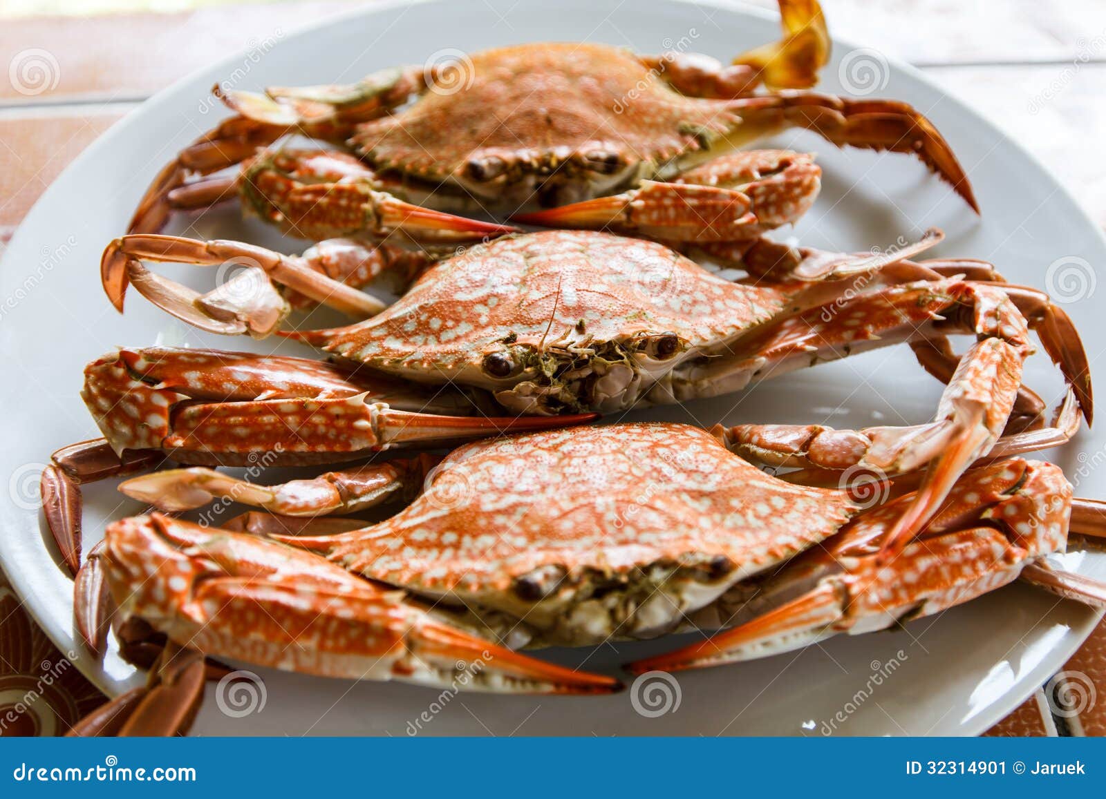 Steamed crab stock image. Image of nutrition, cuisine - 32314901