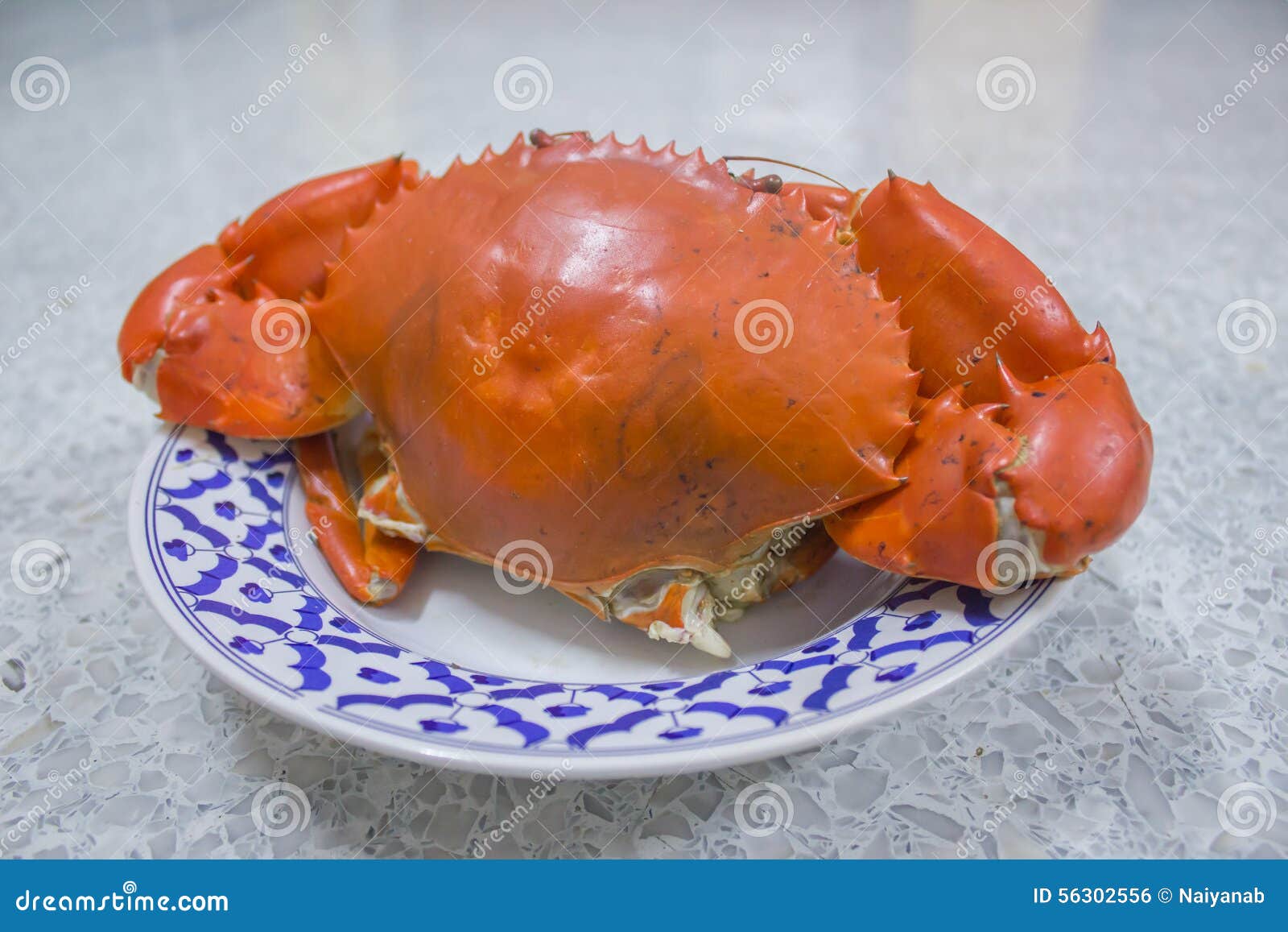 Steamed crab stock photo. Image of cuisine, plate, crab - 56302556