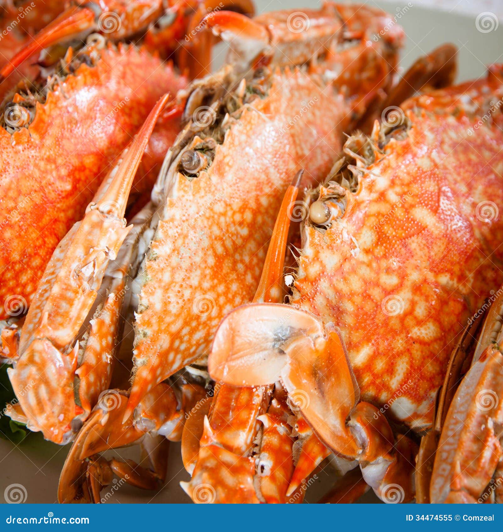 Steamed crab stock image. Image of cooking, fresh, claw - 34474555