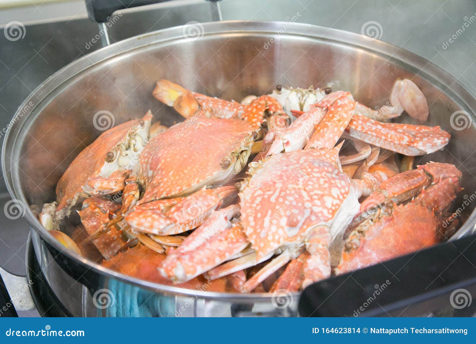 Steamed crab in steaming stock photo. Image of delicious - 164623814