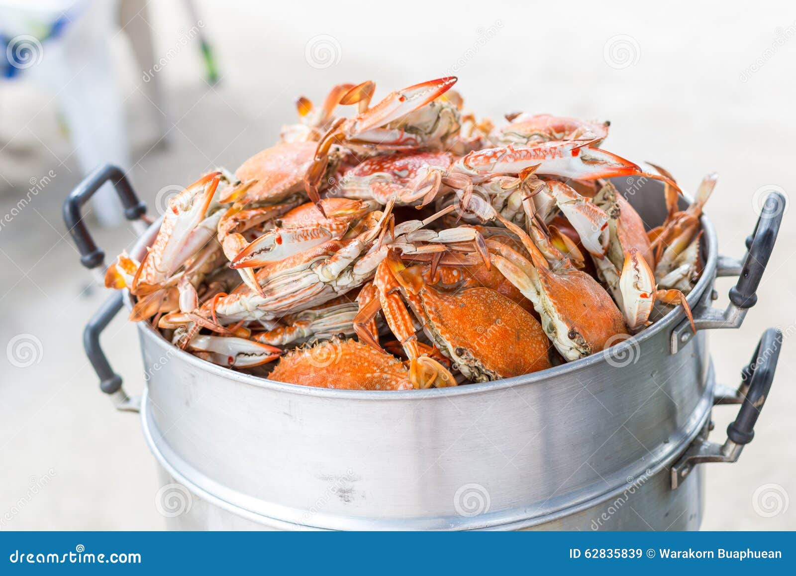 Steamed crab stock image. Image of nature, crabs, healthy - 62835839