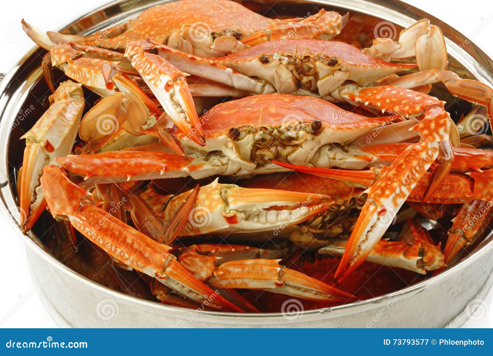 Steamed crab stock image. Image of food, cooked, steamed - 73793577