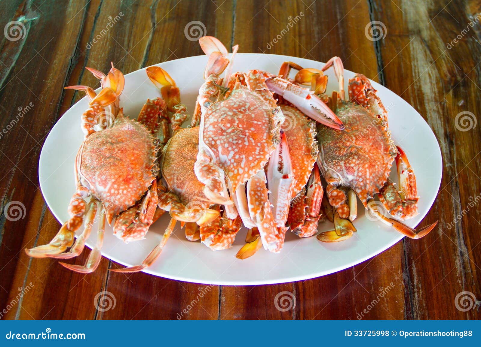 Steamed crab stock photo. Image of legs, animal, lobster - 33725998