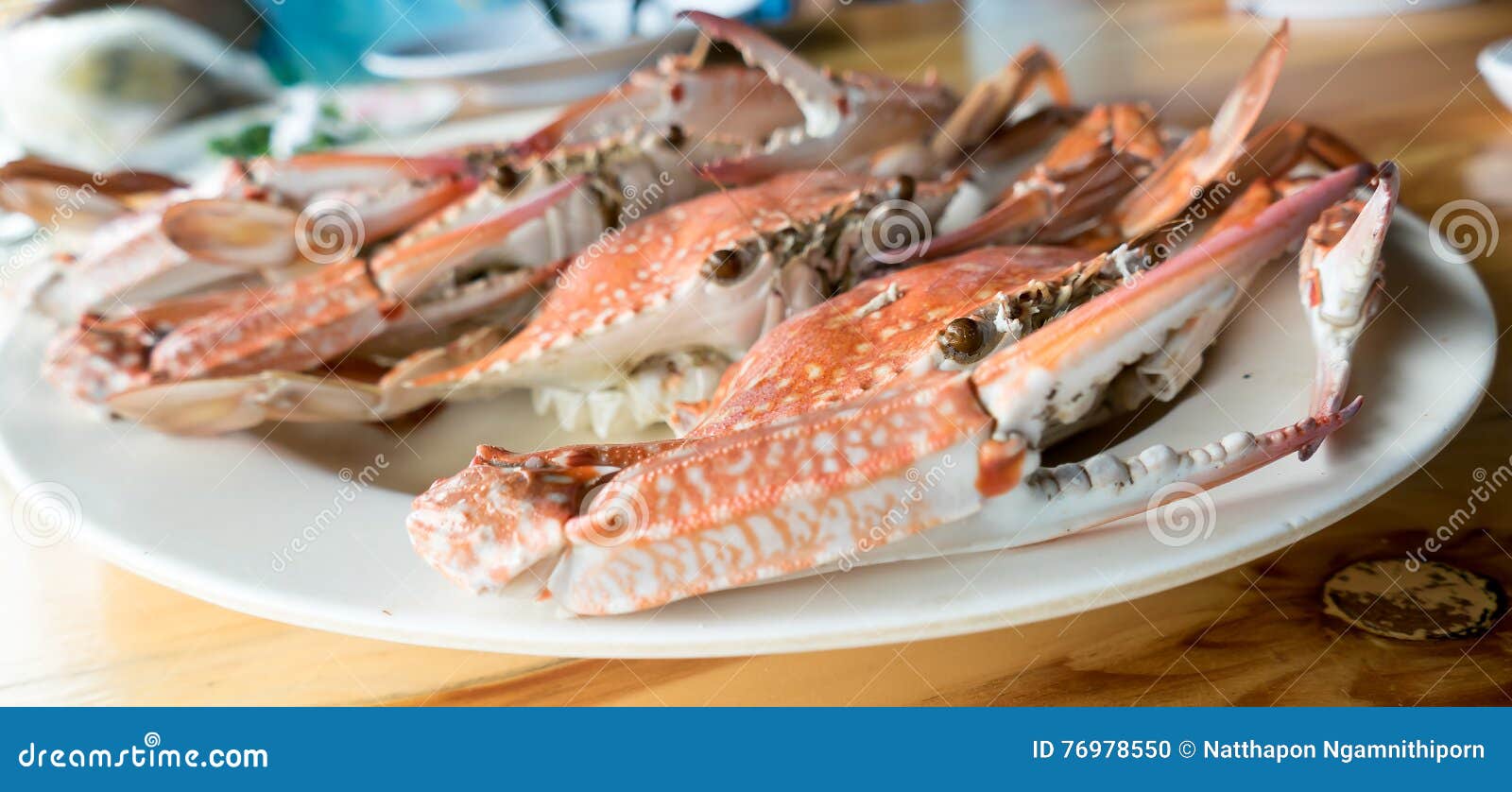 Steamed crab stock photo. Image of delicious, closeup - 76978550