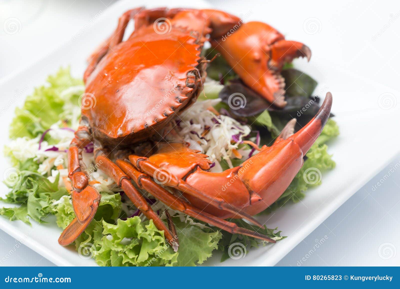 Steamed Crab stock image. Image of asia, crab, protein - 80265823