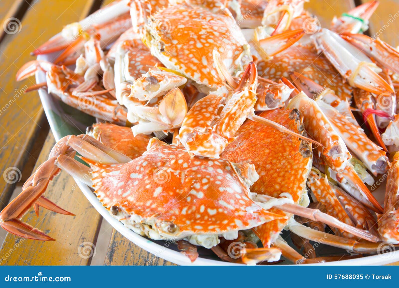 Steamed Crabs stock image. Image of background, jumbo - 57688035