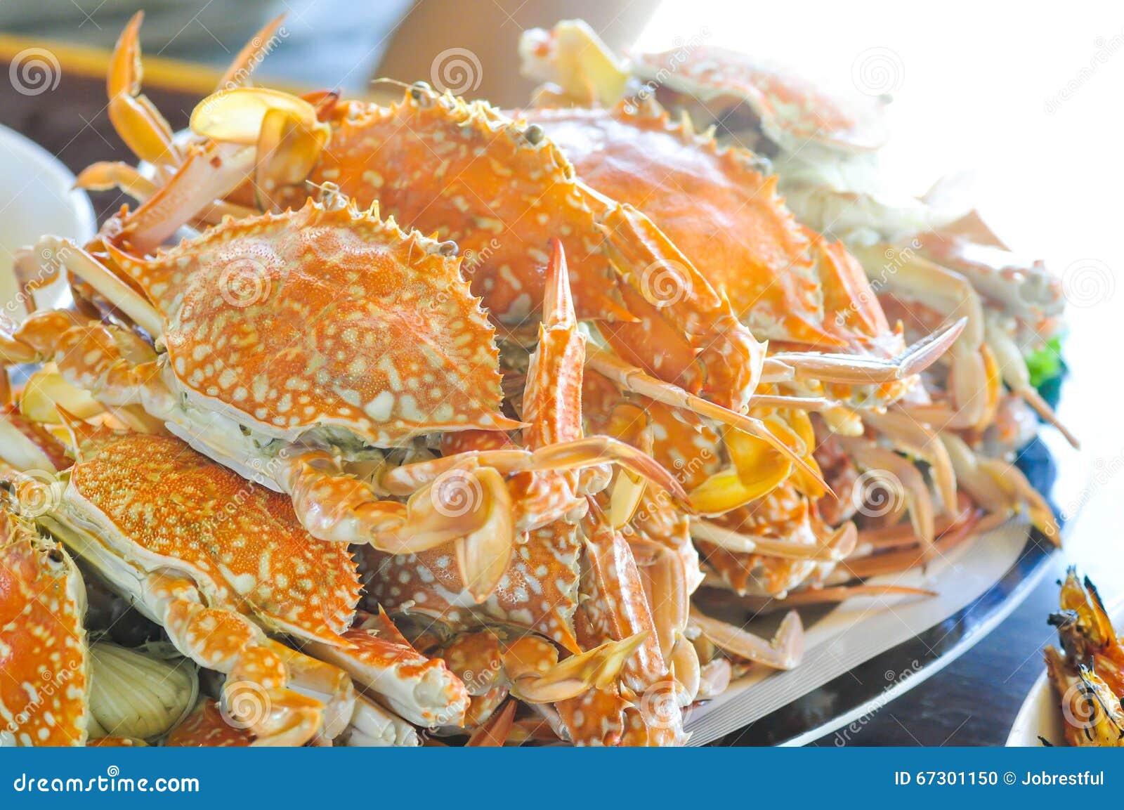 Steamed Crabs stock photo. Image of crabbing, healthy - 67301150