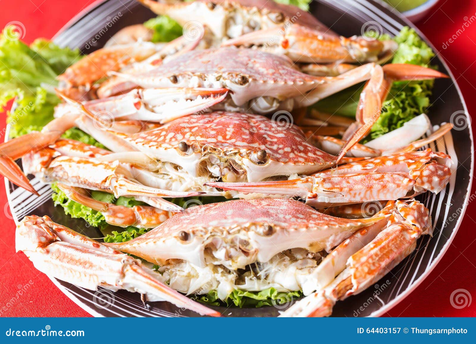 Steamed crabs on a plate stock image. Image of healthy - 64403157