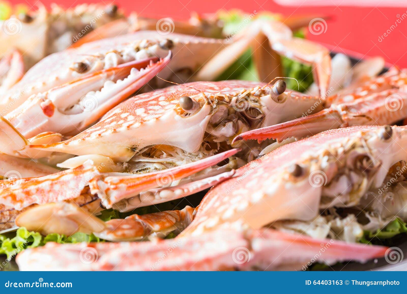 Steamed crabs on a plate stock image. Image of ingredient - 64403163