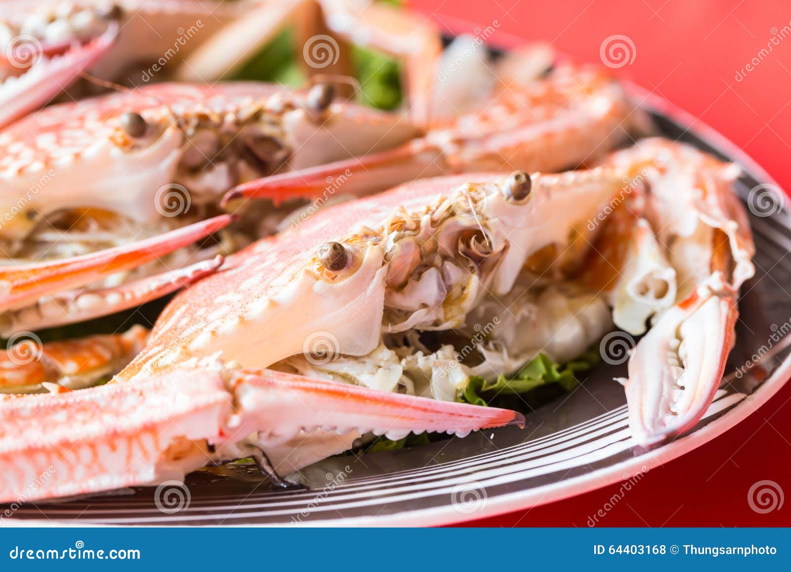 Steamed crabs on a plate stock photo. Image of dish, nutrition - 64403168