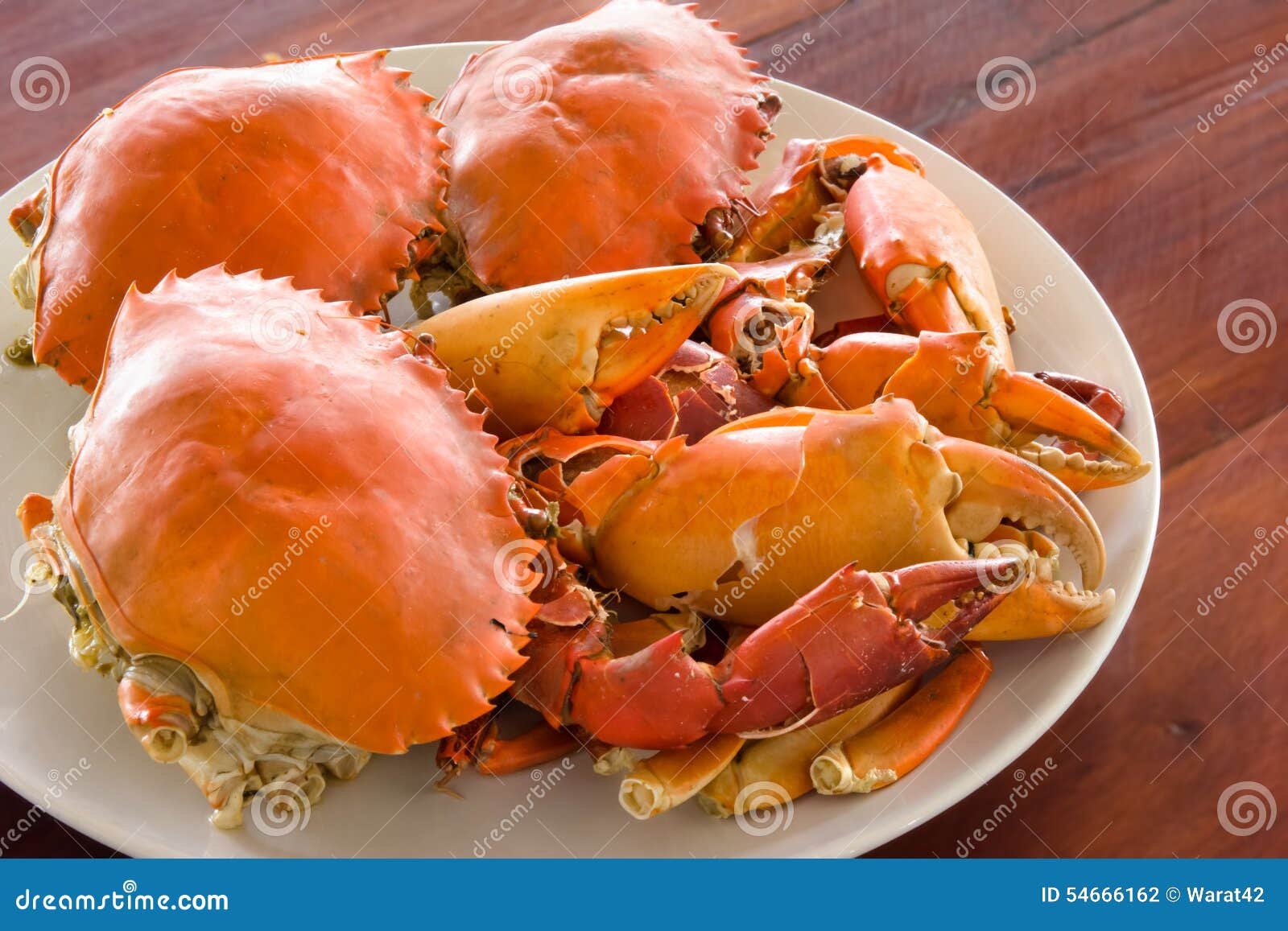 Steamed Crabs Prepared on Plate Stock Photo - Image of king, protein ...