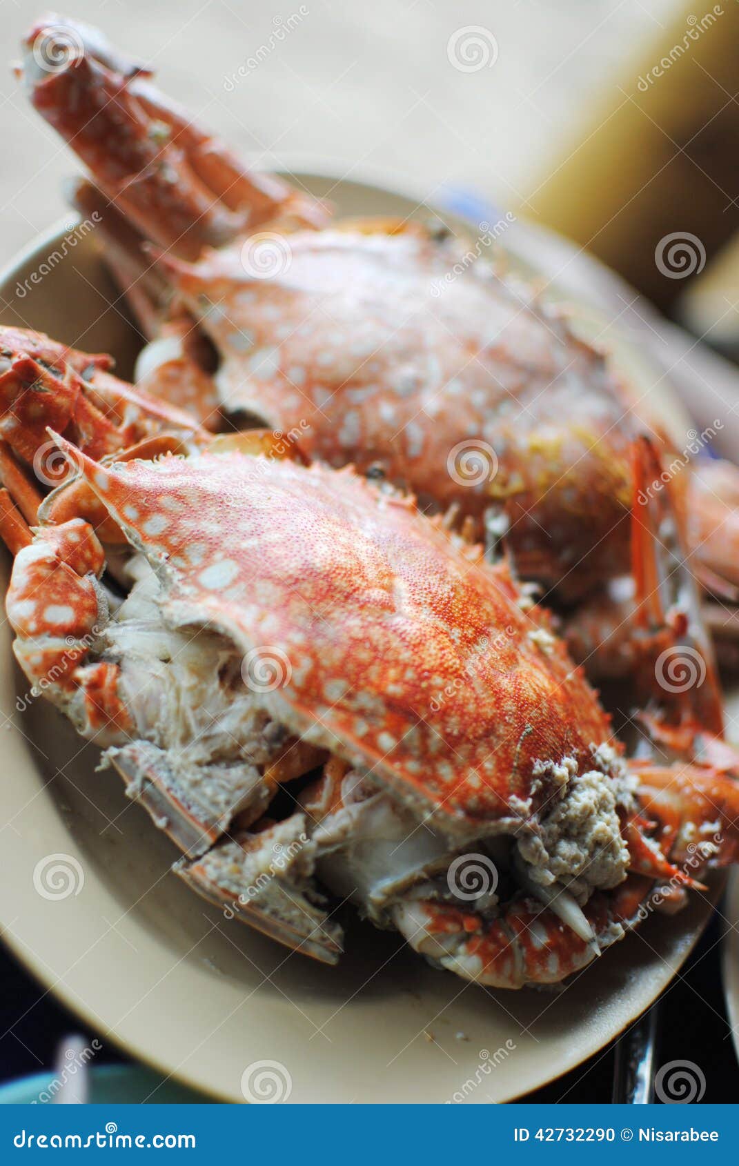 Steamed stock photo. Image of fresh, seafood, steamed - 42732290