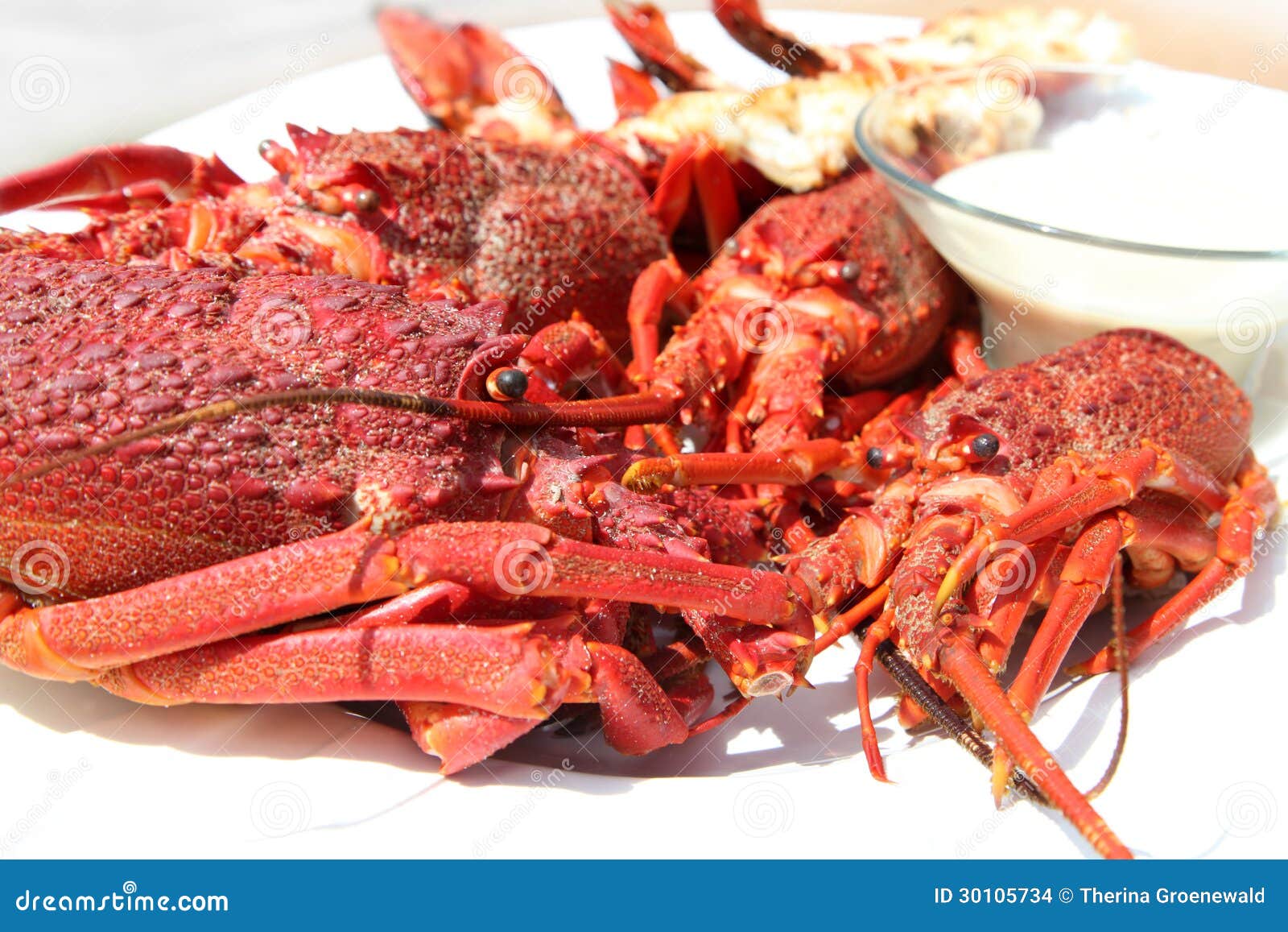 Crayfish and dip stock photo. Image of boiled, scavenger - 30105734