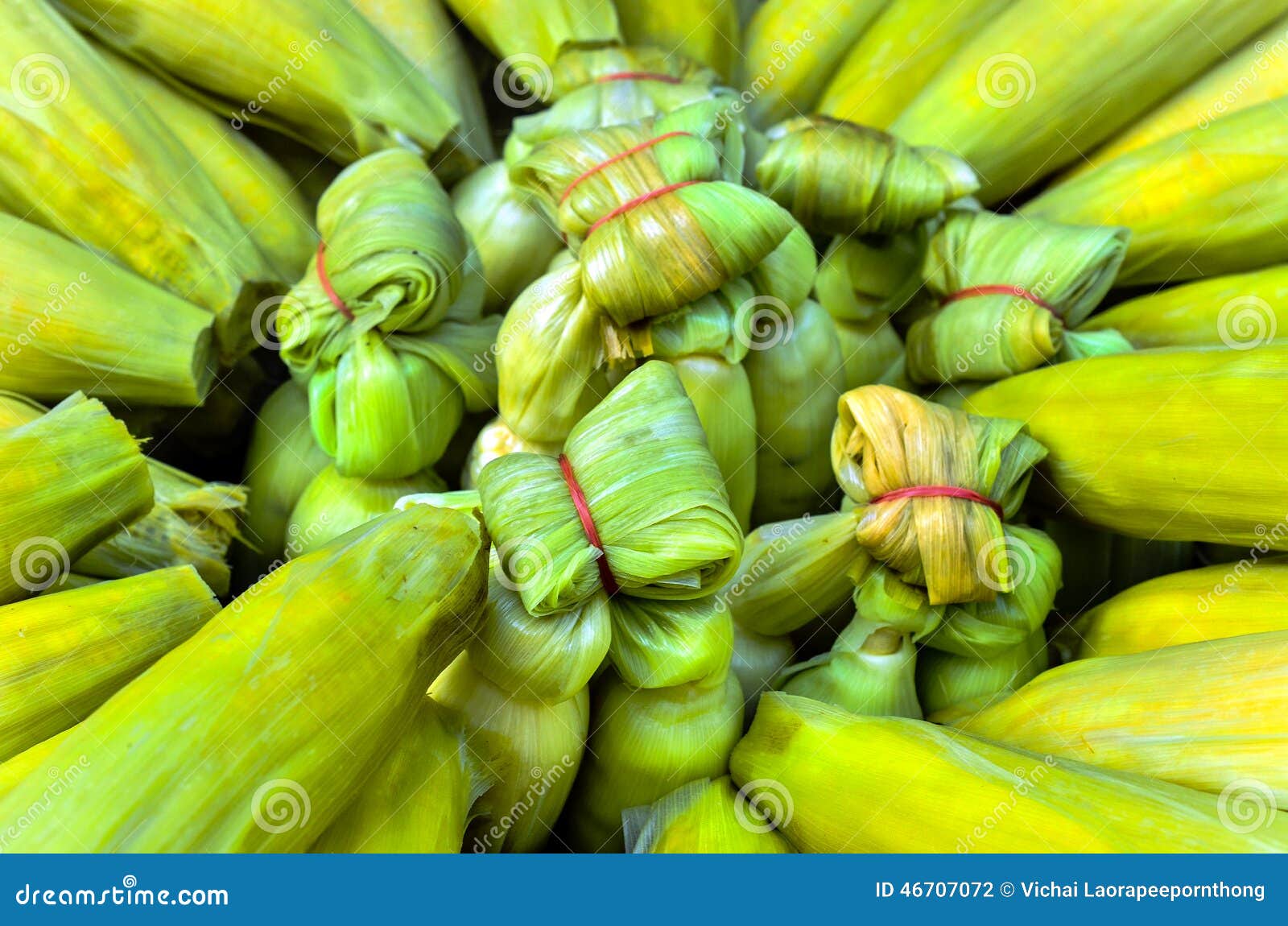 Steamed Fresh Corn stock photo. Image of corncob, crop - 46707072