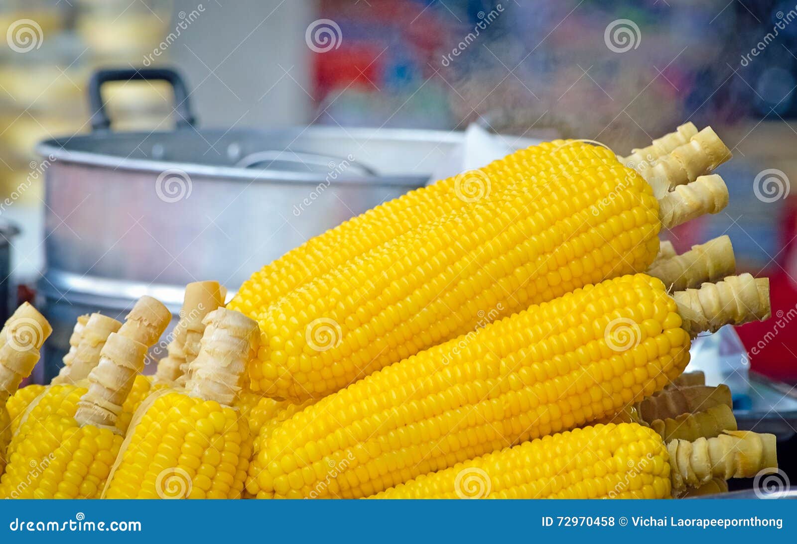 Steamed Fresh Corn stock photo. Image of produce, corncob - 72970458
