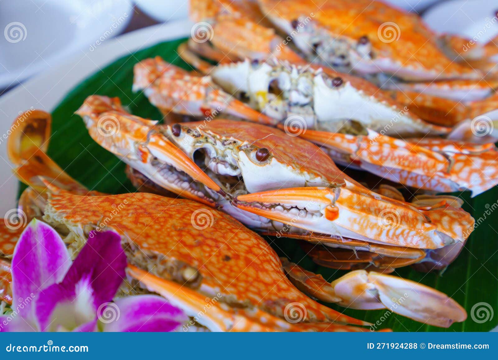 Steamed Fresh Crab Cooking on White Plate Stock Photo - Image of claw ...