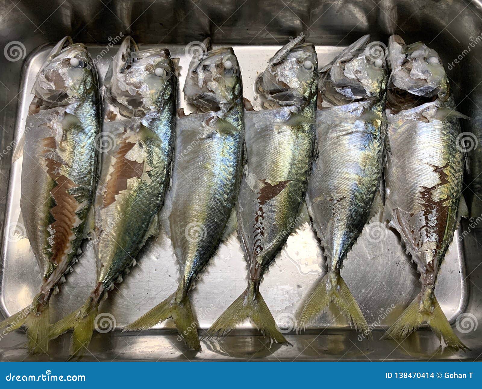 Steamed Mackerel or Tuna Placed Pattern on Stainless Tray in Kitchen ...