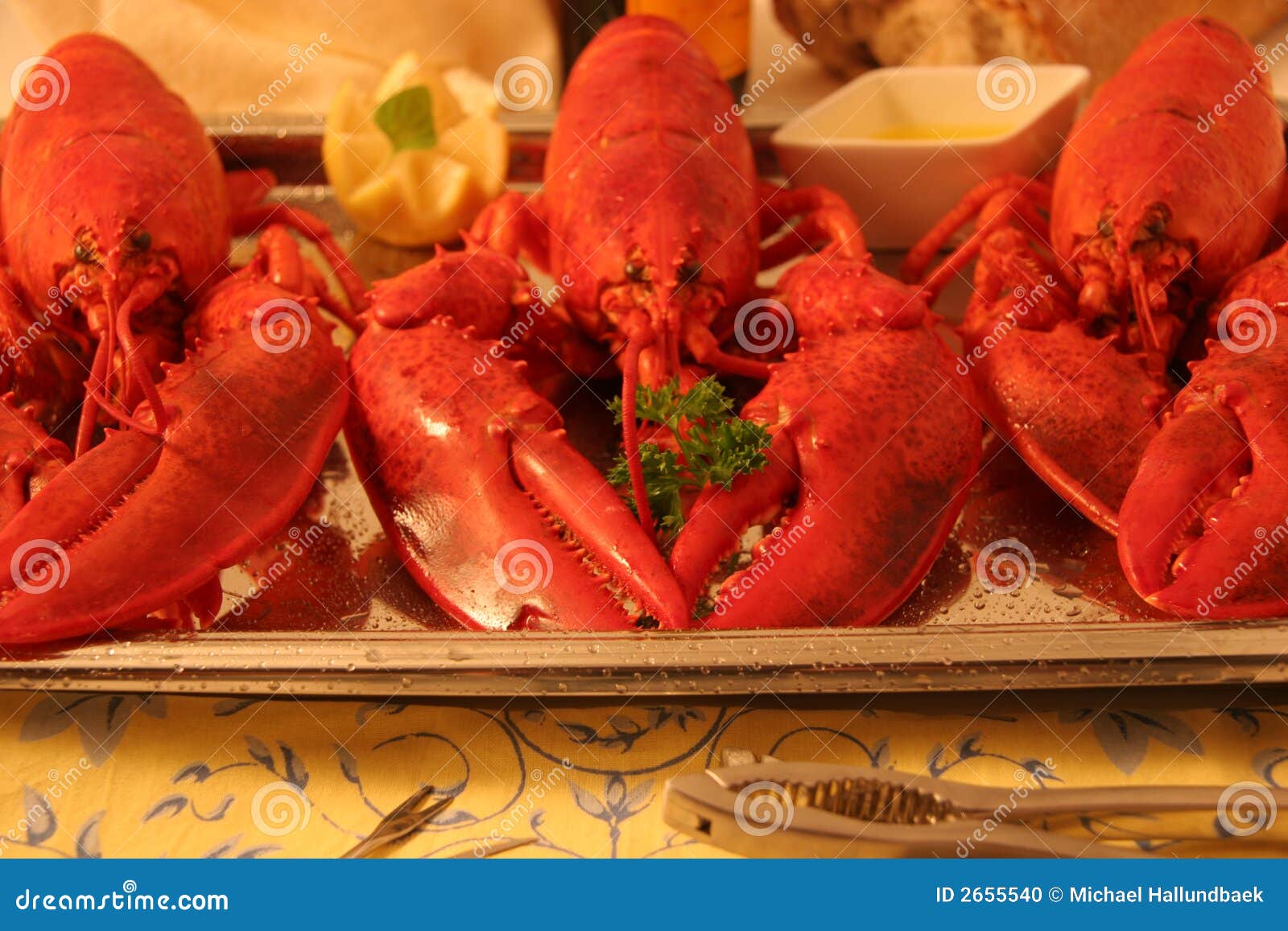 Steamed Maine lobsters stock photo. Image of health, seafood - 2655540