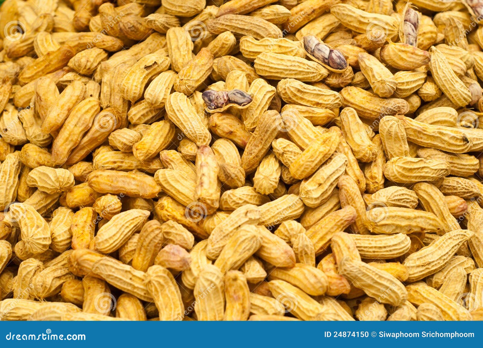 Steamed peanuts stock photo. Image of chewy, macro, diet - 24874150