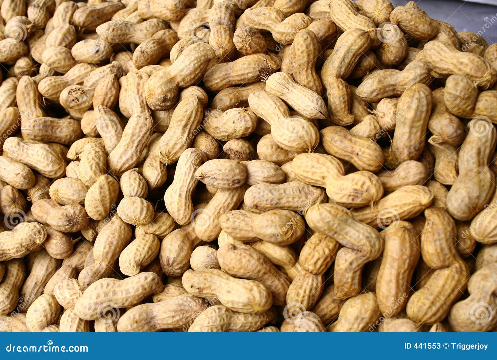 Steamed Peanuts stock image. Image of steamed, asian, delicacy - 441553