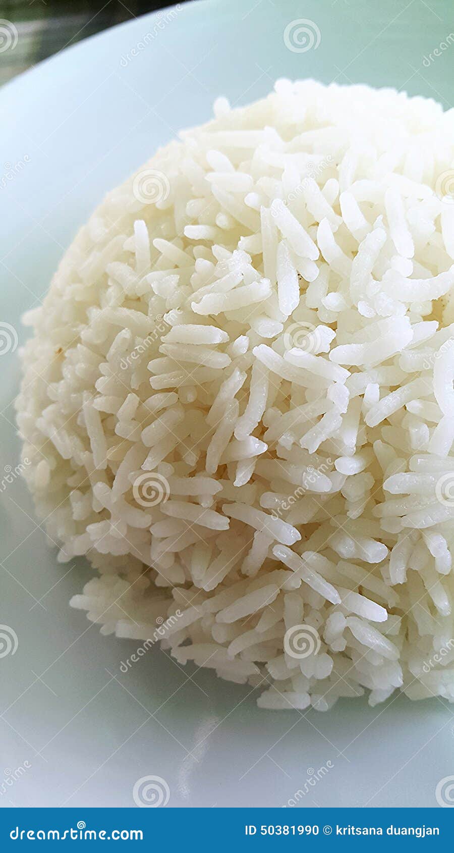 Steamed Rice stock photo. Image of grian, steamed, rice - 50381990