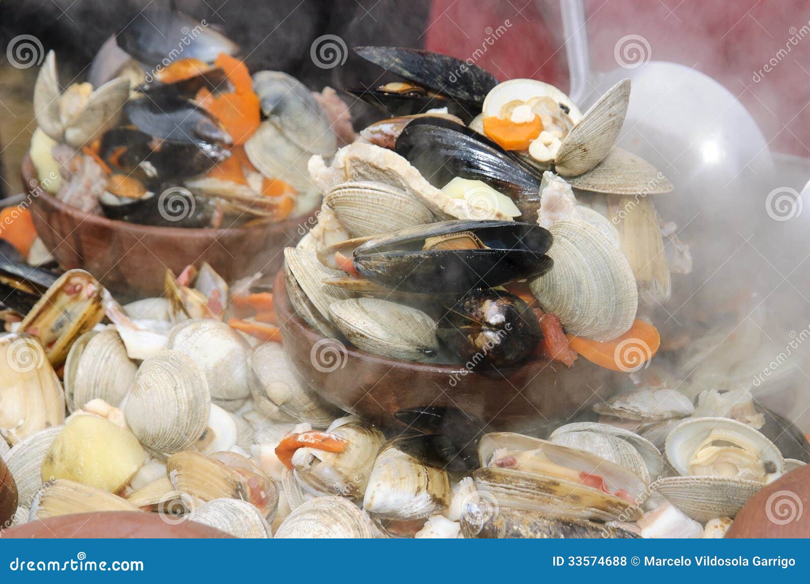 Steamed seafood stock photo. Image of conch, tasty, mussels - 33574688
