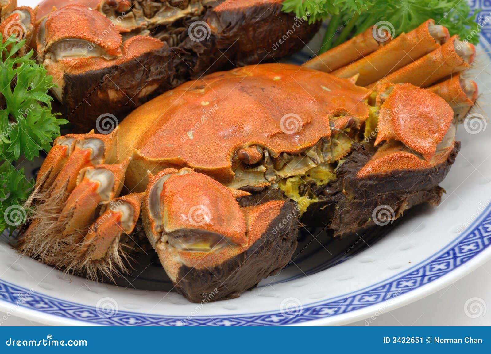 Steamed shanghai crabs stock image. Image of crab, steamed - 3432651
