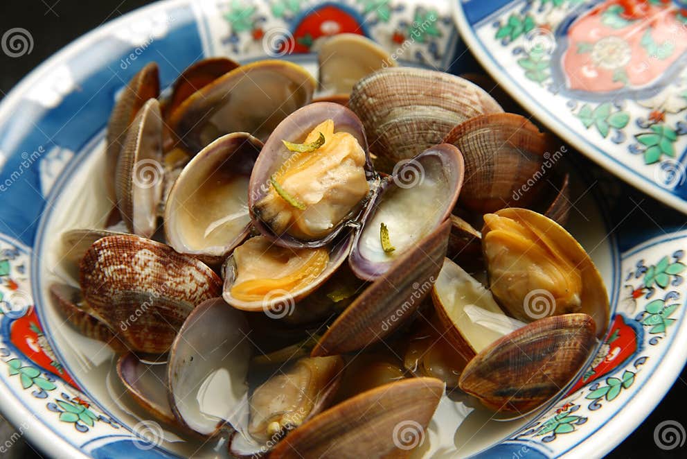 Steamed Shellfish stock photo. Image of clams, shellfish - 62235490