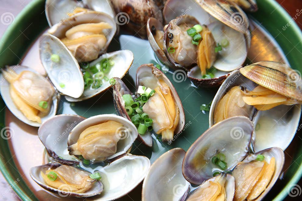 Steamed Shellfish stock photo. Image of white, dinner - 62235566