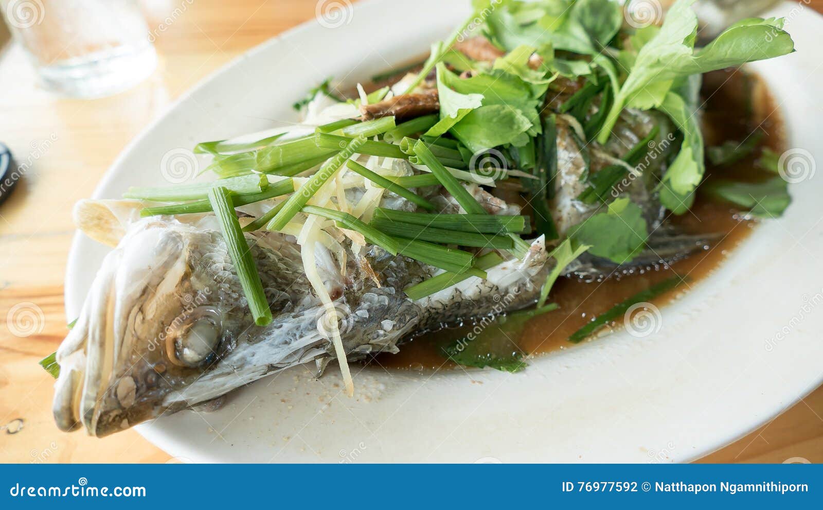 Steamed snapper stock photo. Image of white, steam, sauce - 76977592